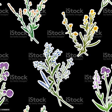 꽃 꽃 완벽 한 패턴입니다 트렌디한 필드 다채로운 벡터 질감 피는 식물의 작은 모티프가 무작위로 흩어져 있습니다 딕시 프린트 검은 배경에 손으로 그린 예술적인 작은 초원