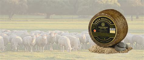 주이베르코 Iberko Ltd 스페인 대표 식품 하몽 이베리코 스페인 대표 식품 수입 판매 이베리아 햄 세라노 초리조 치즈 해산물 가공 이베리아 돼지