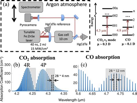 A The Simplified Experimental Setup Used For Time And Download Scientific Diagram