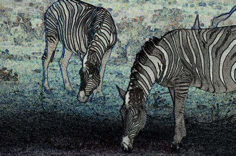 Dont Photoshop It Matlab It Image Effects With Matlab Part 1 Steve On Image Processing