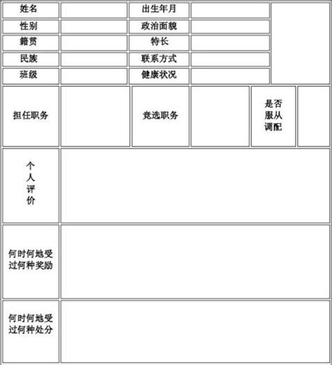 团总支换届竞选申请表 朱振华 范文118