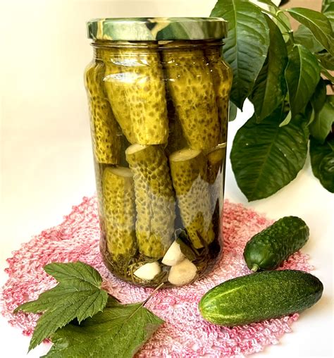 Маринованные огурцы с кориандром рецепт автора Галина Мирошниченко And Амбассадор