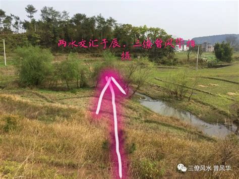 虎形墓 代代接黄榜 杨公堪舆古风水研究 黄麟堪舆风水