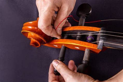 Cello Strings Standard Tuning At James Silvers Blog