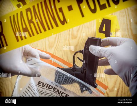 Crime Evidence