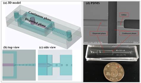 A Semi 3d Flow Focusing Microfluidic Device A Schematic Diagram Of Download Scientific
