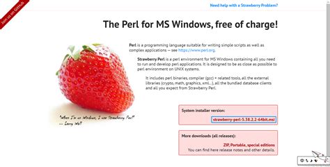 windows系统下vscode中使用perl语言 csdn博客