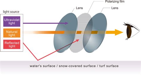 Tokai Optical Canada