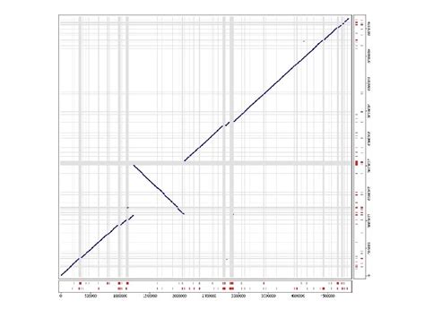 Whole Genome Alignment Slides Thanks To Adam M