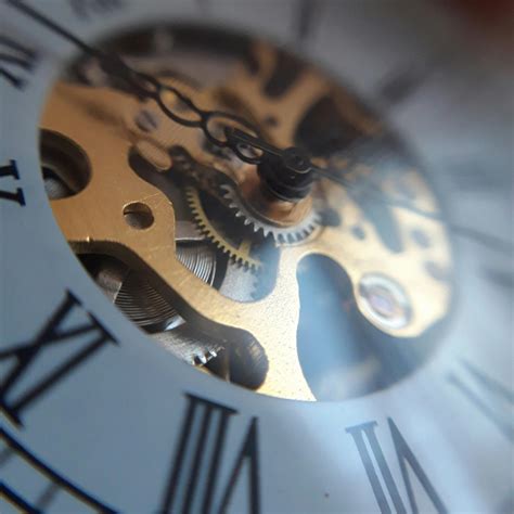 Molnár Alex Photography