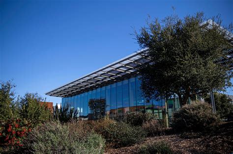 Indian Microsoft Software Engineer Dies On Silicon Valley Campus At 35