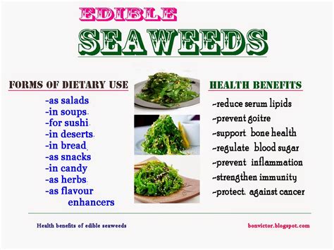 Benefits Of Eating Seaweed For Skin At Charlene Ortega Blog