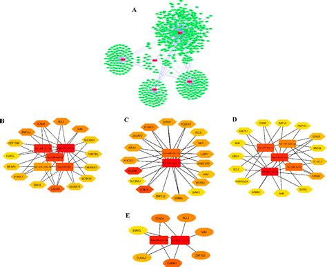 Figure 2 From Identification Of Driver Genes And Mirnas In Ovarian Cancer Through An Integrated