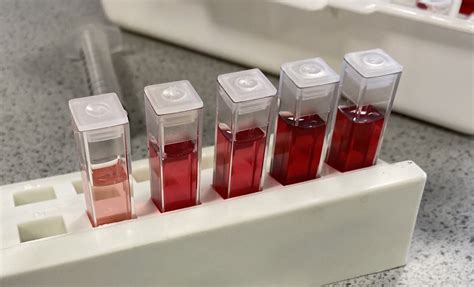 Exams And Me Beetroot Experiment