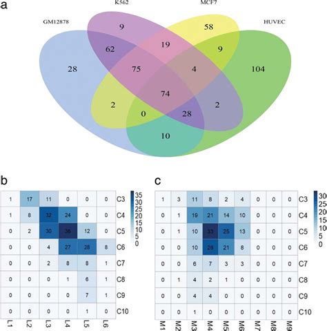 Relationship Of Maximal Cliques Communities And Hierarchical Levels Download Scientific
