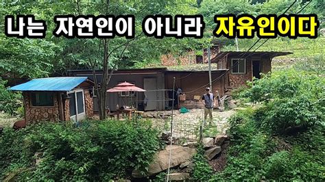 나는 자연인이 아니라 자유인이다 산속에서 거림낌 없이 살아가는 자연인 Youtube