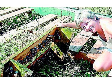 Почвата основен фактор при отглеждане на охлюви Български Фермер