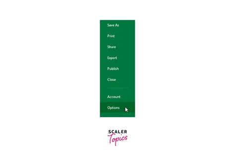 How To Save Workbooks In Excel Scaler Topics