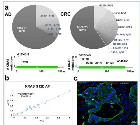 Kras Variant Distribution In Ad And Crc Samples A Kras Variant