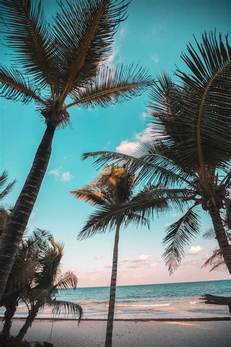 gallery 标签组件的使用方法和 unsplash 高清壁纸分享 xaoxuu