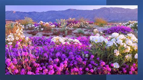 Arizona Master Naturalist Association