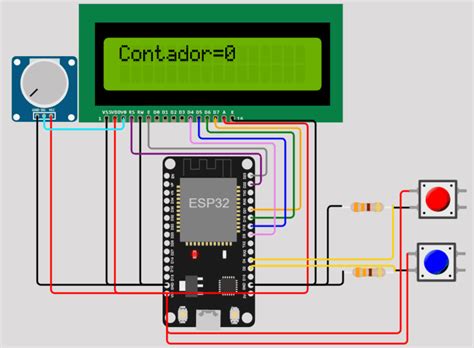 Programador Novato