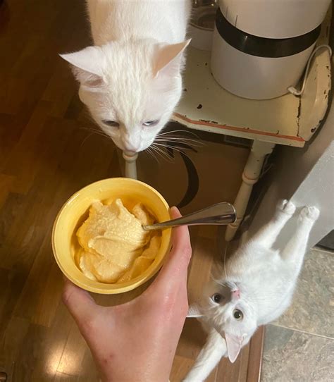 Ice Cream Calculator Ricecreamery Ice Cream Calculator Ricecreamery