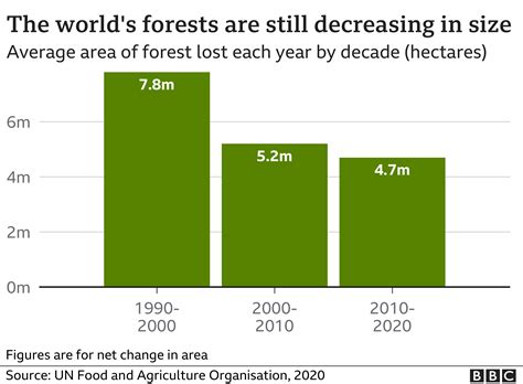 Global Deforestation Graph