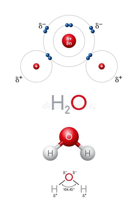 H2o Molécula De Agua Modelo Planetario Fórmula Química Y Estructural