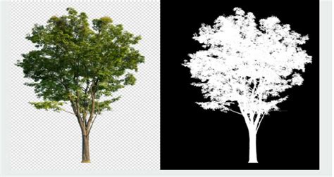 Clipping Path Tool Step By Step Guide Clipping Creations India