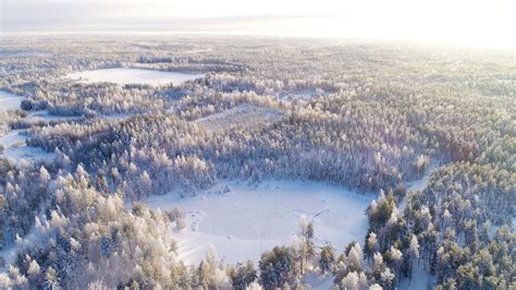 Metsät Ovat Tärkeä Osa Varsinais Suomen Maaseutua Maaseutufi