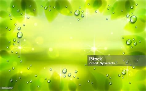 신선한 녹색 잎과 물 비가 떨어지거나 응축 수벡터 현실적인 투명 일러스트 레이션 여름 또는 봄 자연 배경 텍스트에 대한 복사 공간 배경 주제에 대한 스톡 벡터 아트 및 기타