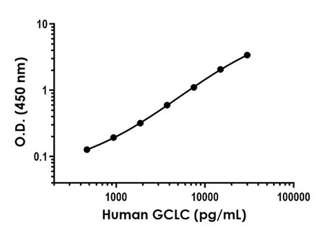 Results For Gclc Abcam Antibodies Proteins Kits