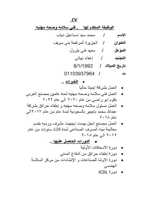 Cv Mohamed Sayed Pdf