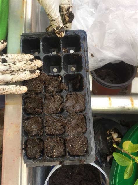 The Pros And Cons Of Composting Vs Worm Composting Ah Grow