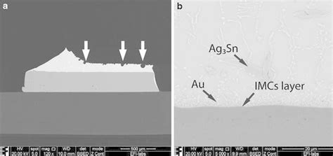 Cross Section Of A Sample Made By Convection Reflow Soldering Download Scientific Diagram