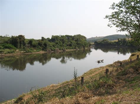 무료 이미지 나무 언덕 호수 못 반사 저수지 수로 물줄기 습지 브라질 강가 집단 2592x1944 1327870 무료 이미지 Pxhere