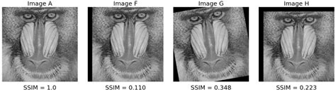 结构相似性损失 Ssim Structural Similarity 腾讯云开发者社区 腾讯云