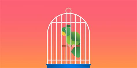 Modular Grid Complete Beginner S Guide Graphic Design Tips