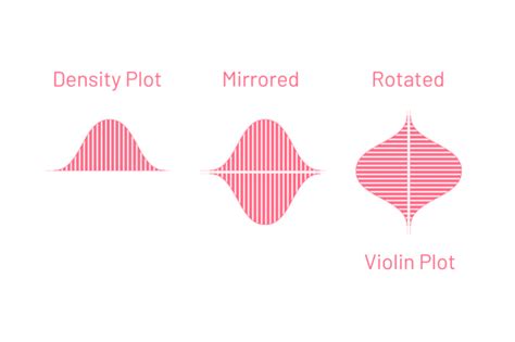 Exploring Data Distributions With Violin Plots In R