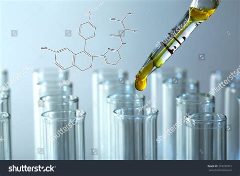 Premium Template For PowerPoint Google Slides Jlukuhuok