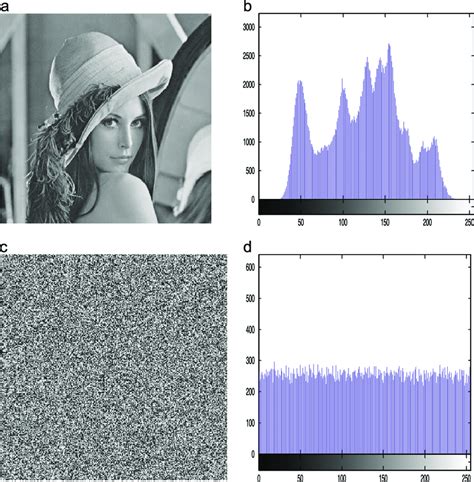 The Histogram Distribution Of Plain Image And Cipher Image A Plain Download Scientific