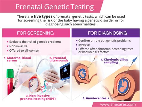 Prenatal Genetic Testing Shecares