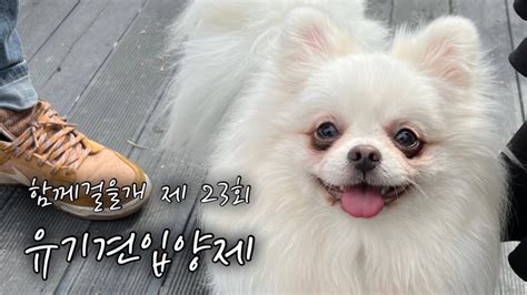 겨울의 끝 엄마 없는 아이들의 겨울도 끝날 수 있게 함께해주세요💛 Youtube