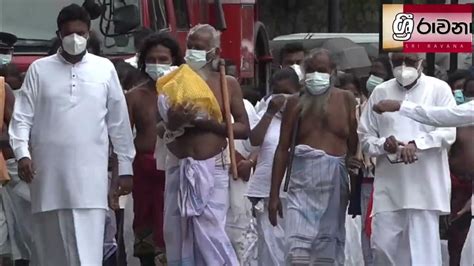 ශ්‍රී ධන්ත ධාතුන් වහන්සේට මී පැණි පූජා කරන වැදි නායකයා Youtube