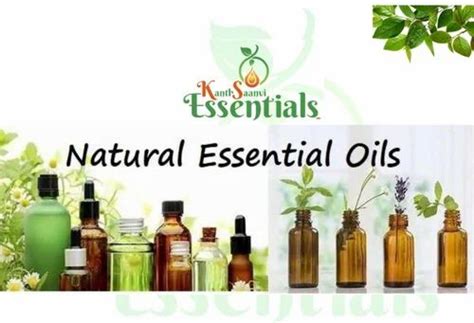 Pennyroyal Essential Oil For Skin Care At ₹ 4800 Kg In New Delhi Id