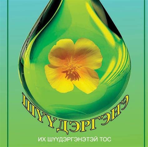 Их Шүүдэргэнэ Хаадын цэцэг ХХК Ikh Shuudergene Khaadiin Tsetseg Hhk
