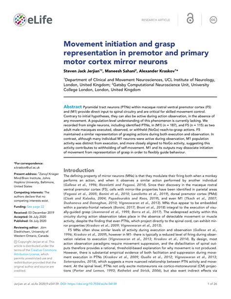 Pdf Movement Initiation And Grasp Representation In Premotor And