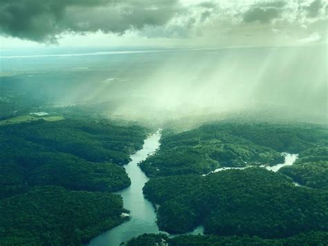Premium Photo Rain On Amazon Forest