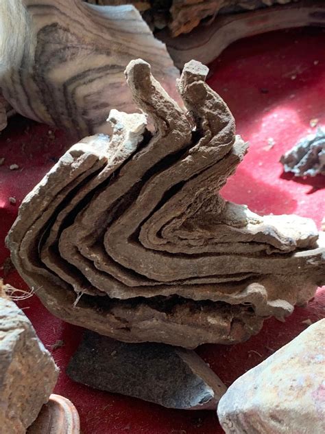 ข่าว Like สาระ ตะลึง พบขุมทรัพย์อันล้ำค่าหินแปลกสวยงามจำนวนมากถูกเก็บไว้ที่วัดใต้เมืองกาญจน์